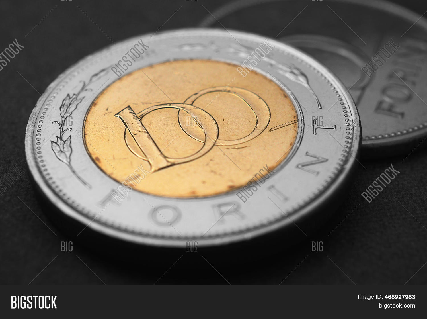 Hungarian Coin 100 Image & Photo (Free Trial) | Bigstock