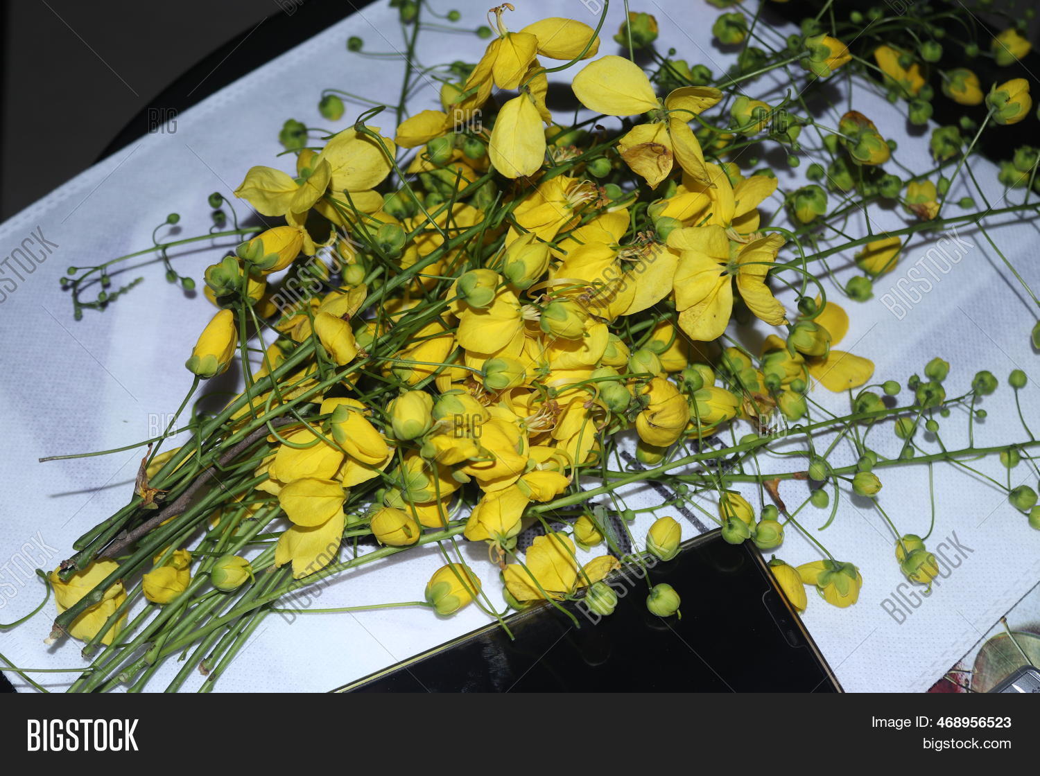 Konna Poo Called Image & Photo (Free Trial) | Bigstock