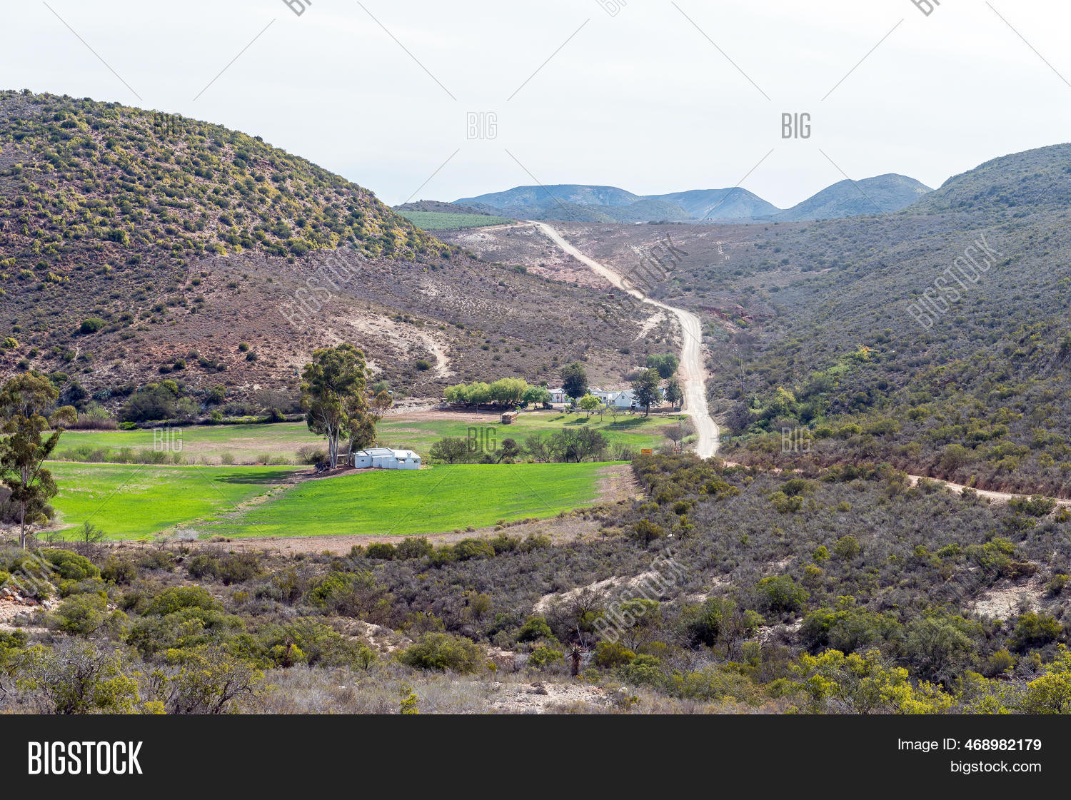 Looking Back Southern Image & Photo (Free Trial) | Bigstock