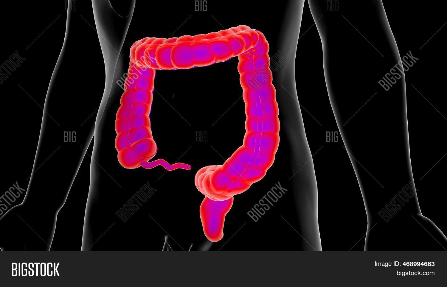 ภาพและภาพถ่าย (ทดลองใช้ฟรี) | Bigstock