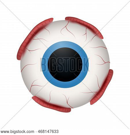 Eyeball Human . Vector & Photo (Free Trial) | Bigstock