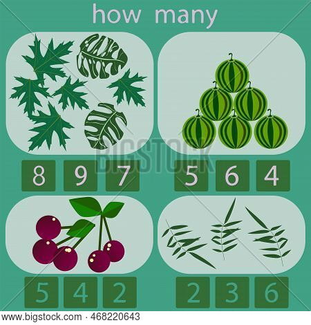 Count How Many Items Vector & Photo (Free Trial) | Bigstock