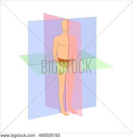 Scanning Planes Body Vector & Photo (Free Trial) | Bigstock