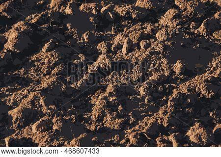 Realistic Illustration Image & Photo (Free Trial) | Bigstock