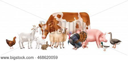 Realistic Composition Vector & Photo (Free Trial) | Bigstock