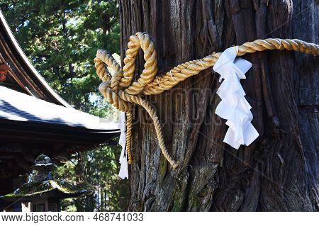 'shimenawa' ( Shinto Image & Photo (Free Trial) | Bigstock