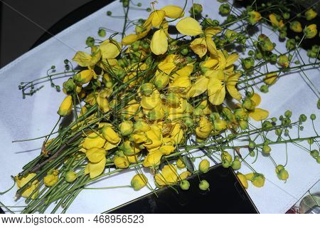 Konna Poo Called Image & Photo (Free Trial) | Bigstock