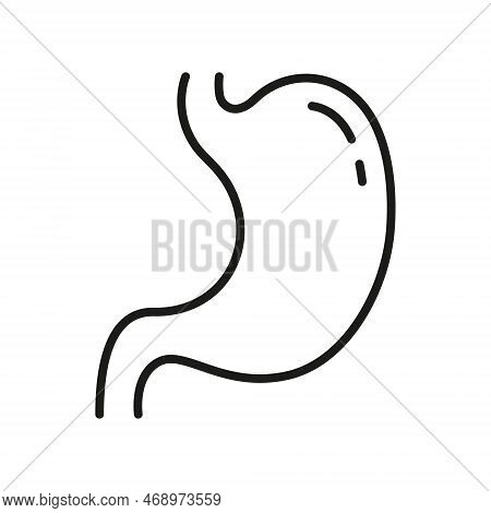 Stomach Line Icon. Vector & Photo (Free Trial) | Bigstock