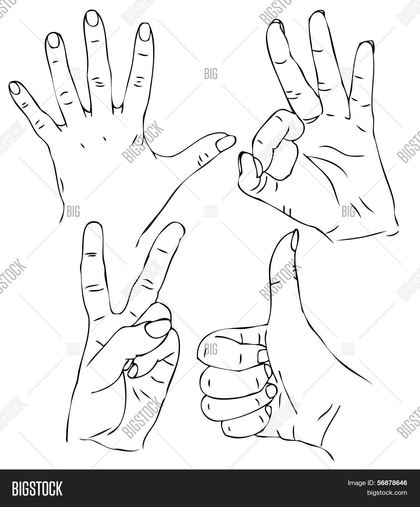 Set Hand Signs Vector & Photo (Free Trial) | Bigstock