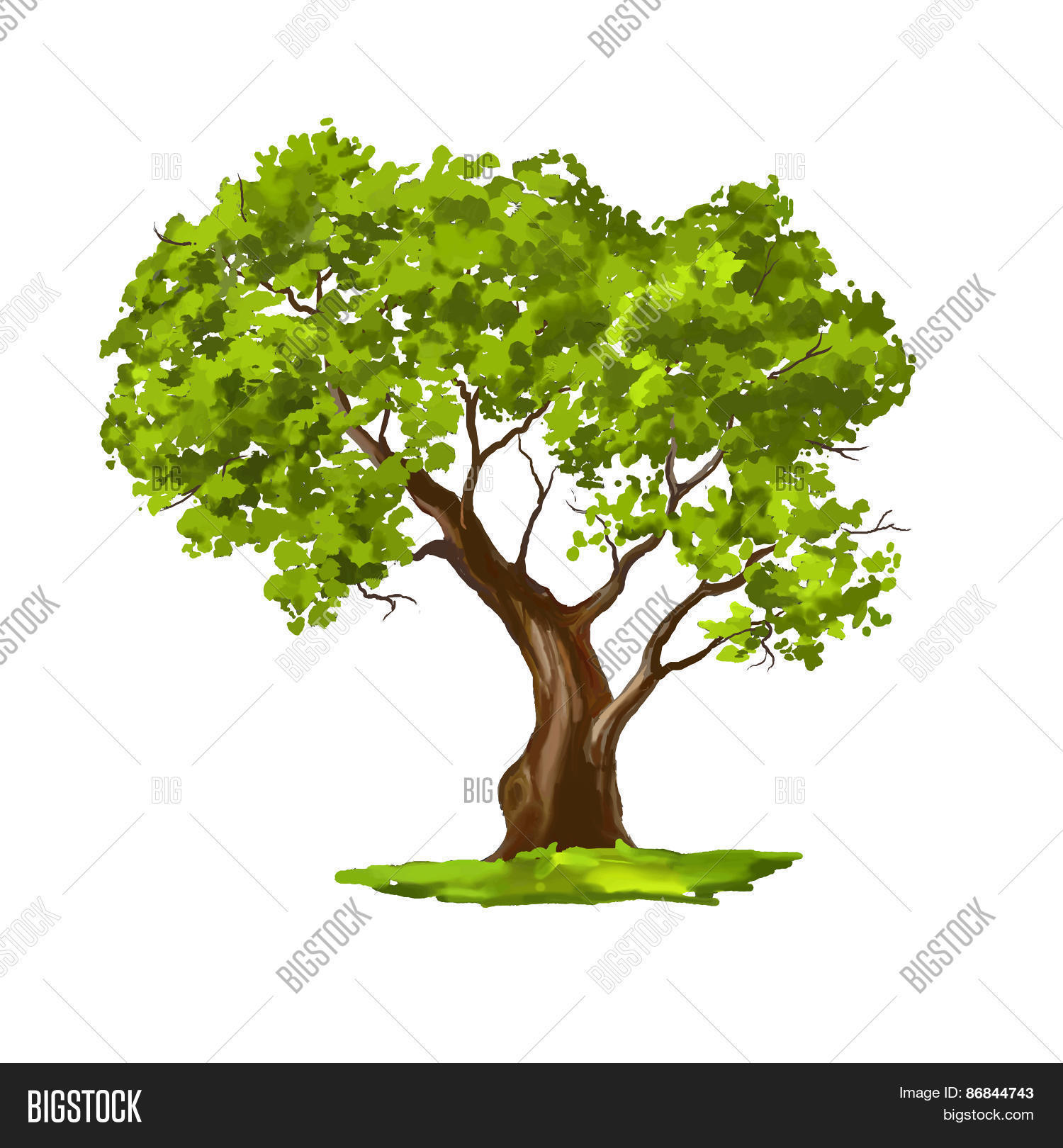 Tree Vector Vector & Photo (Free Trial) | Bigstock