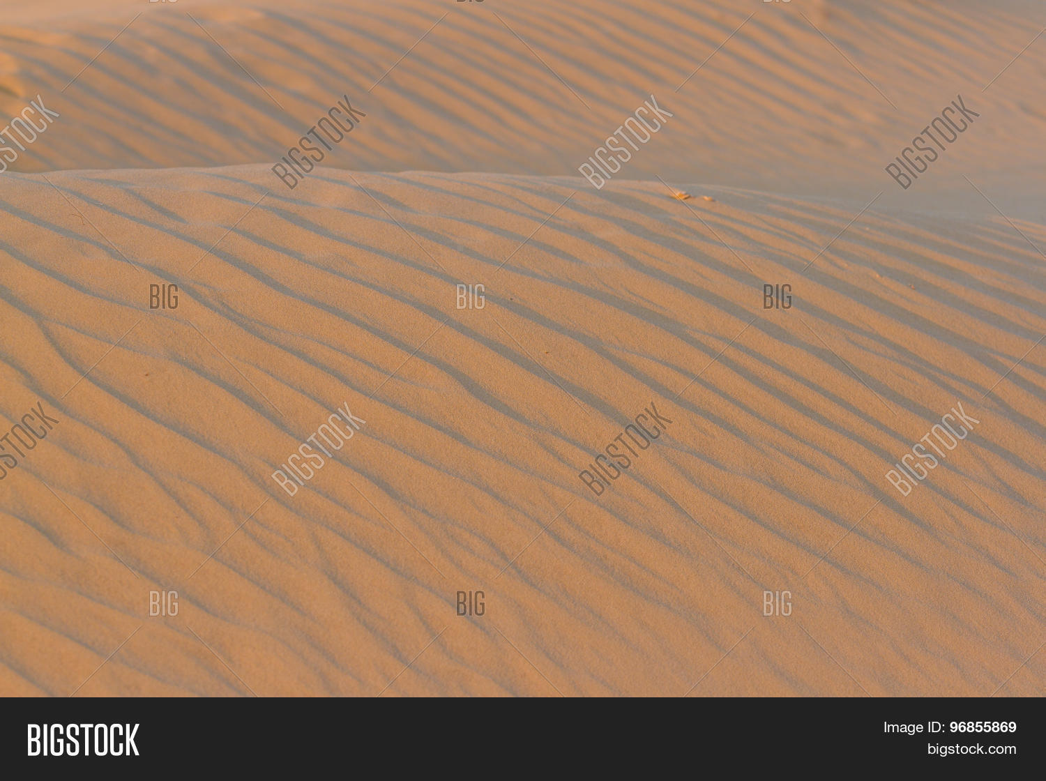 Gold Desert Into Image & Photo (Free Trial) | Bigstock