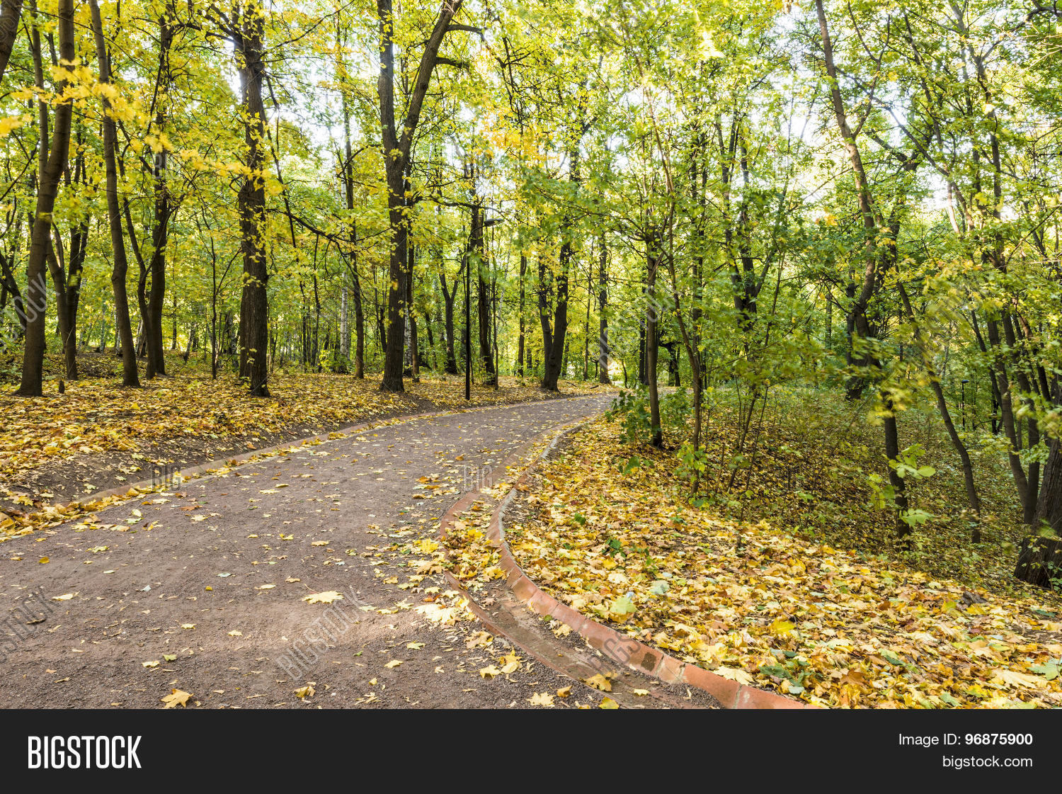 Pathway Autumn Park Image & Photo (Free Trial) | Bigstock