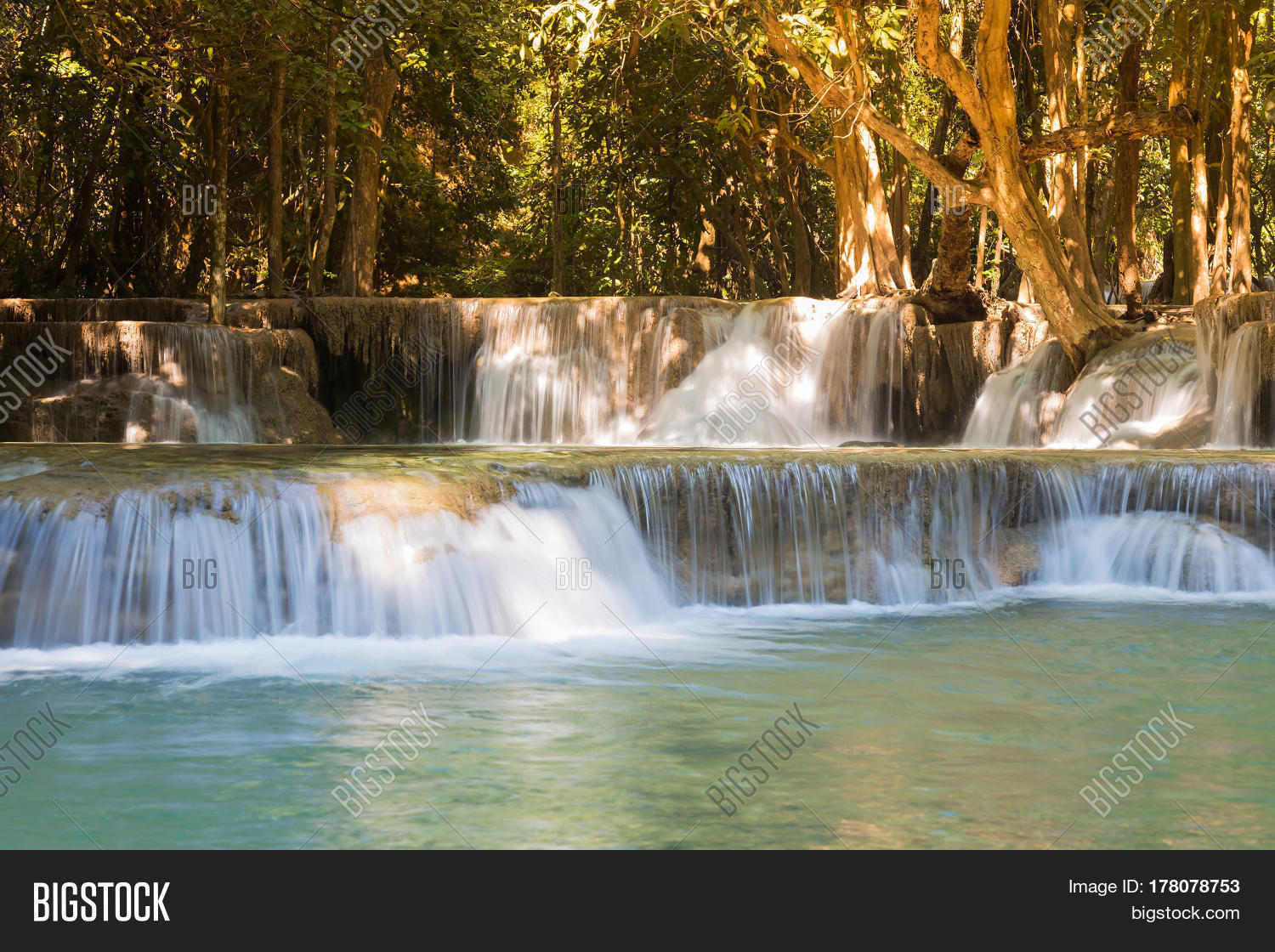 Deep Forest Stream Image & Photo (Free Trial) | Bigstock