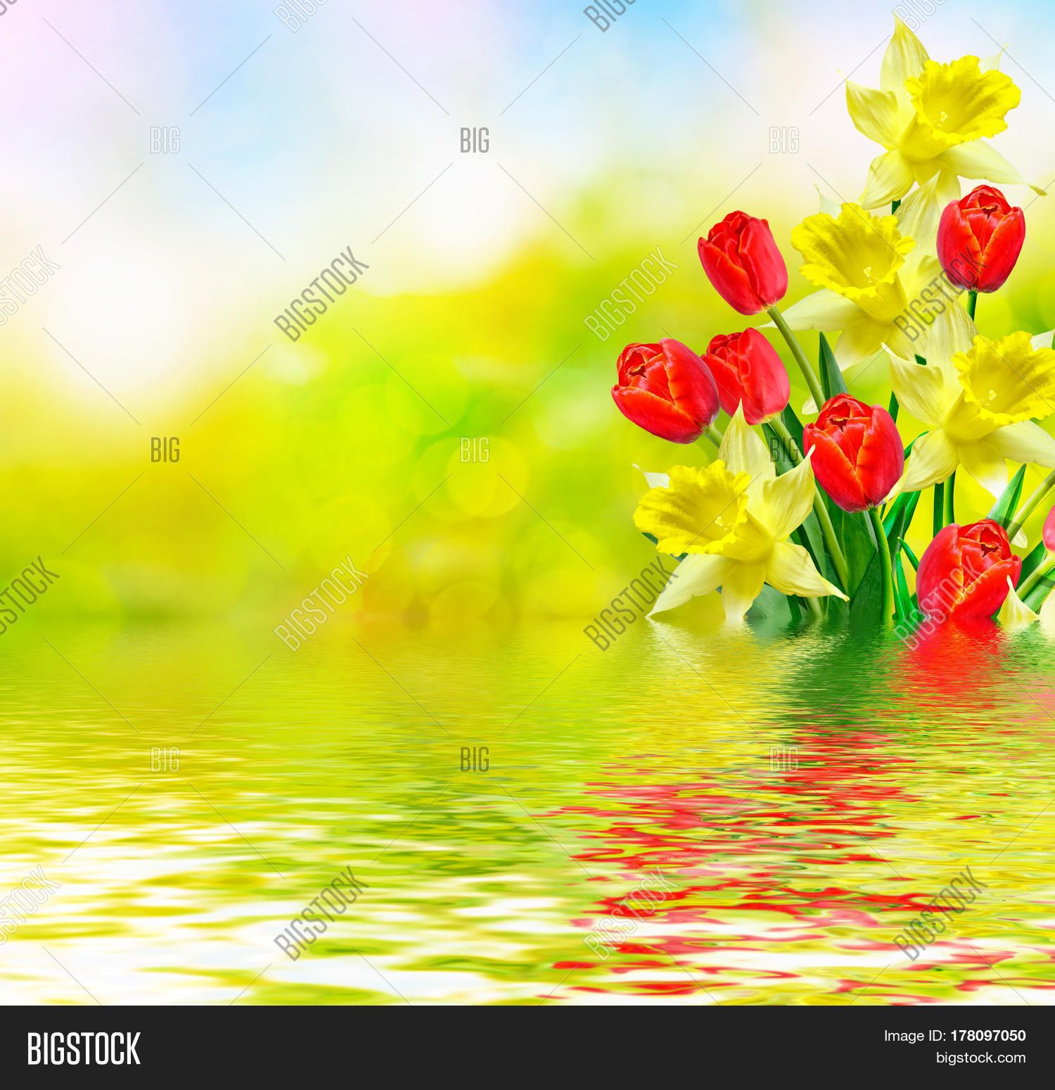 Wallpaper Bright Spring Pictures