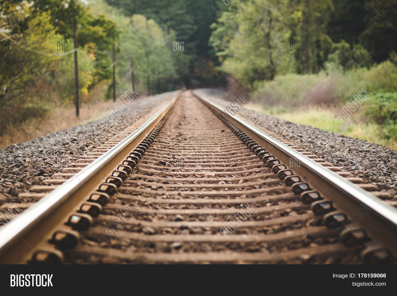 Train Tracks Beautiful Image & Photo (Free Trial) | Bigstock
