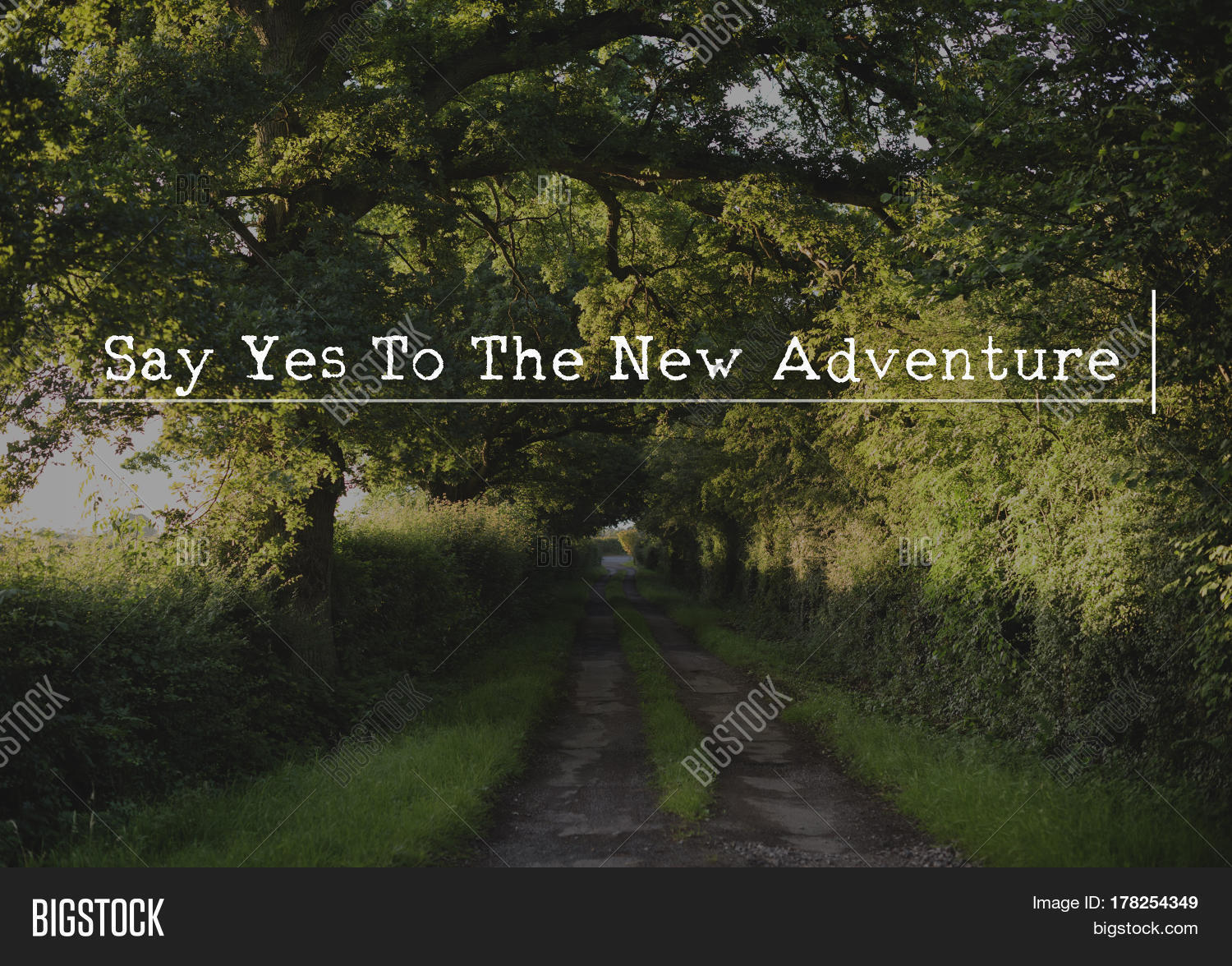 Let's Get Lost Follow Image & Photo (Free Trial) | Bigstock
