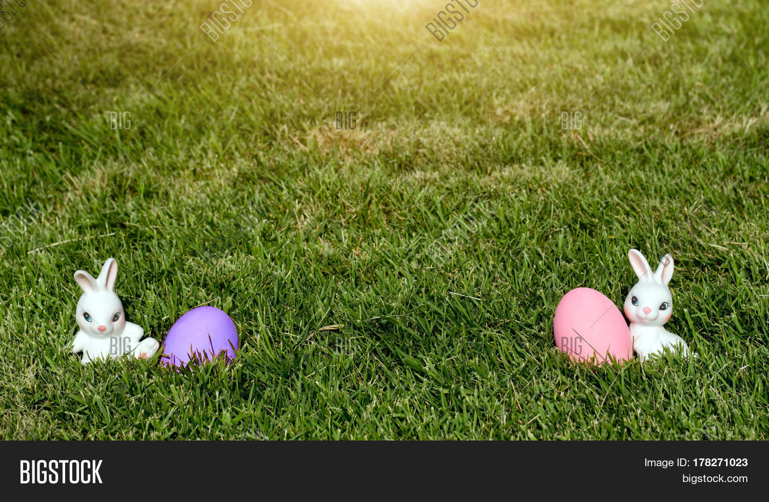 Bunny Rabbit Pink Image & Photo (Free Trial) | Bigstock