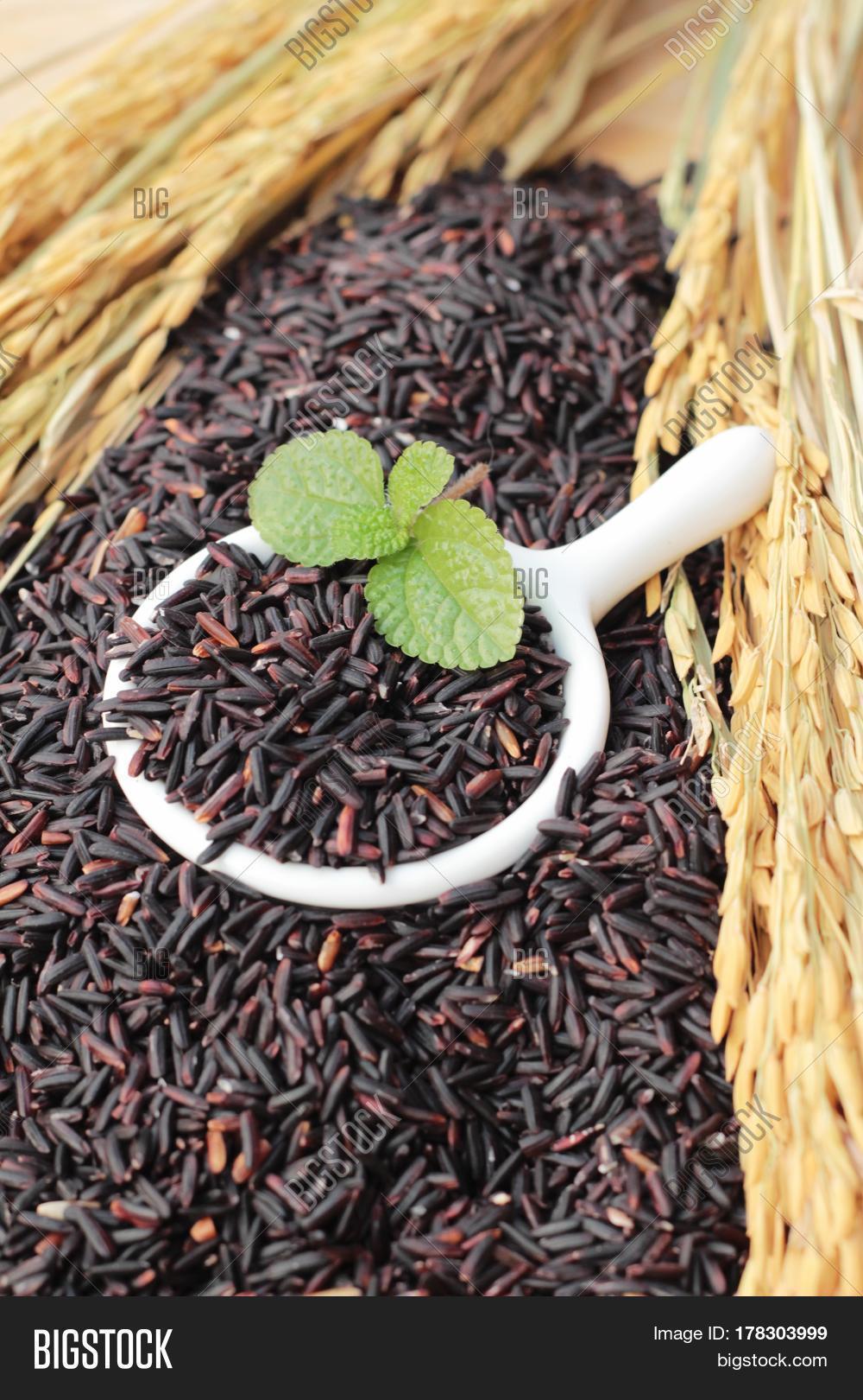 Black Jasmine Rice Image & Photo (Free Trial) | Bigstock