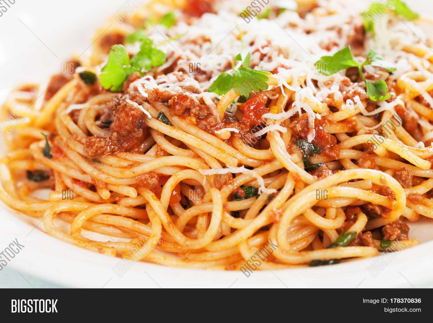 Italian Bolognese Image And Photo Free Trial Bigstock