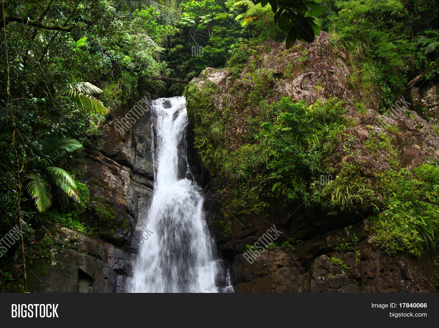 La Mina Falls - Puerto Image & Photo (Free Trial) | Bigstock