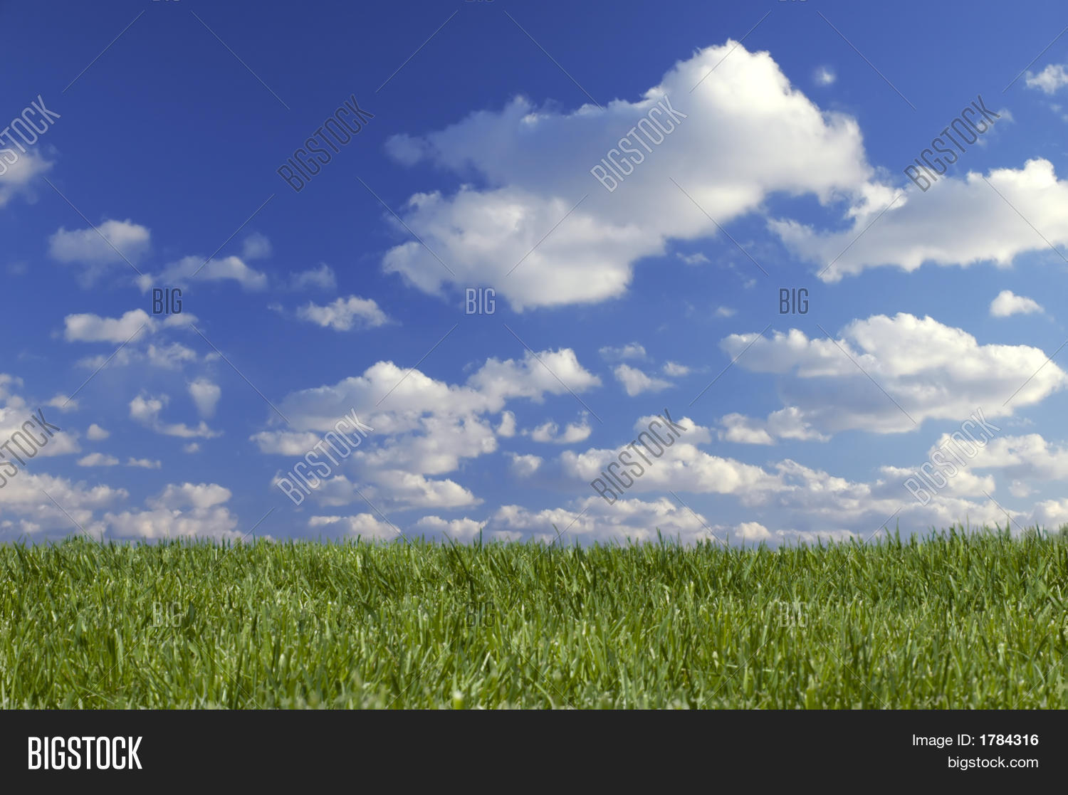 Grass Sky Clouds Image & Photo (Free Trial) | Bigstock