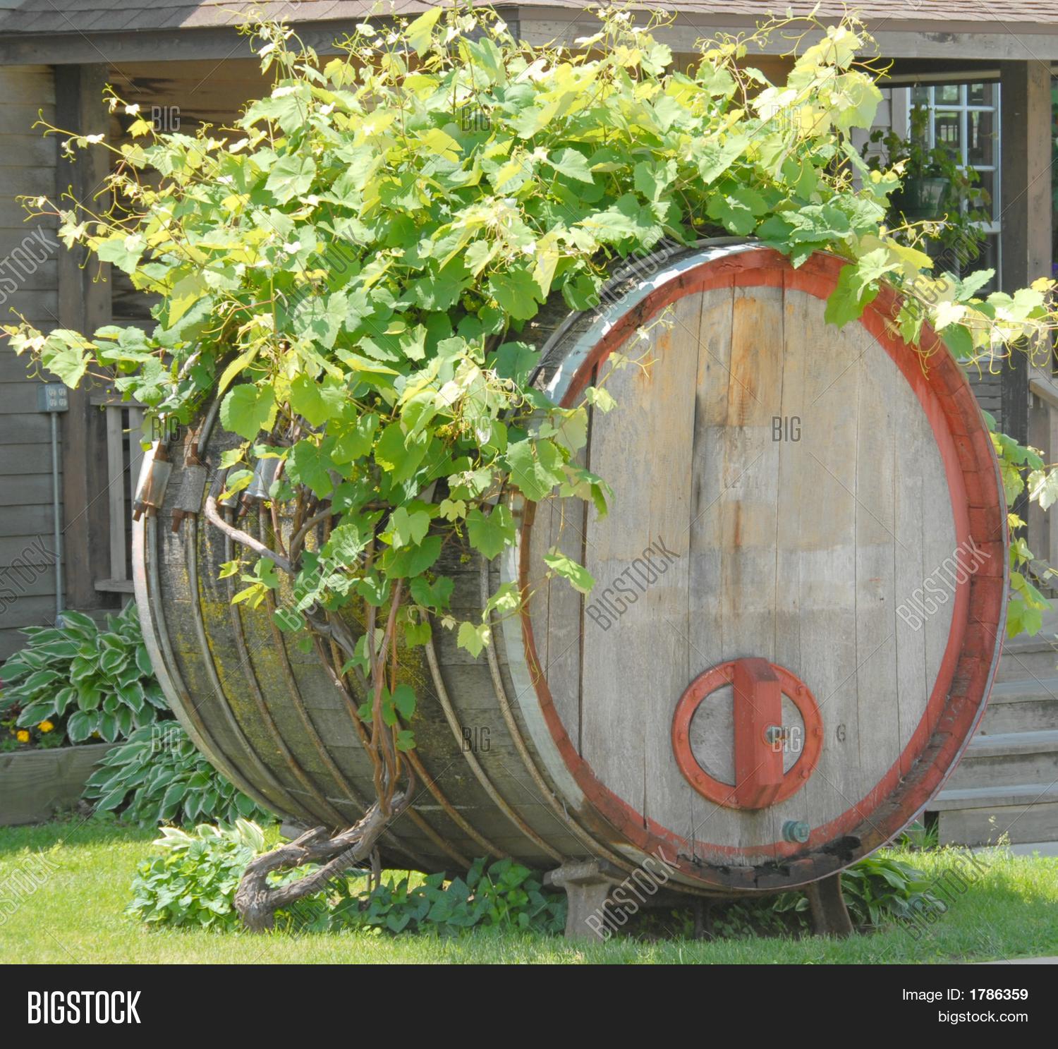 Big Barrel Image & Photo (Free Trial) | Bigstock