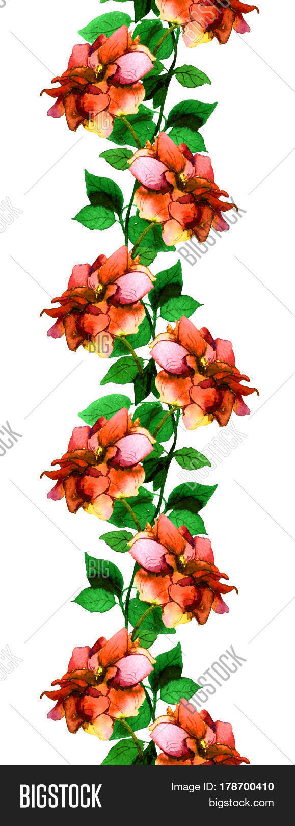 Repeated Floral Border Image & Photo (Free Trial) | Bigstock