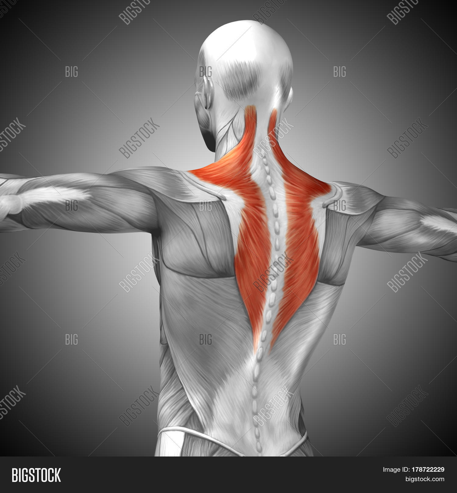 Concept Conceptual 3D Image & Photo (Free Trial) | Bigstock