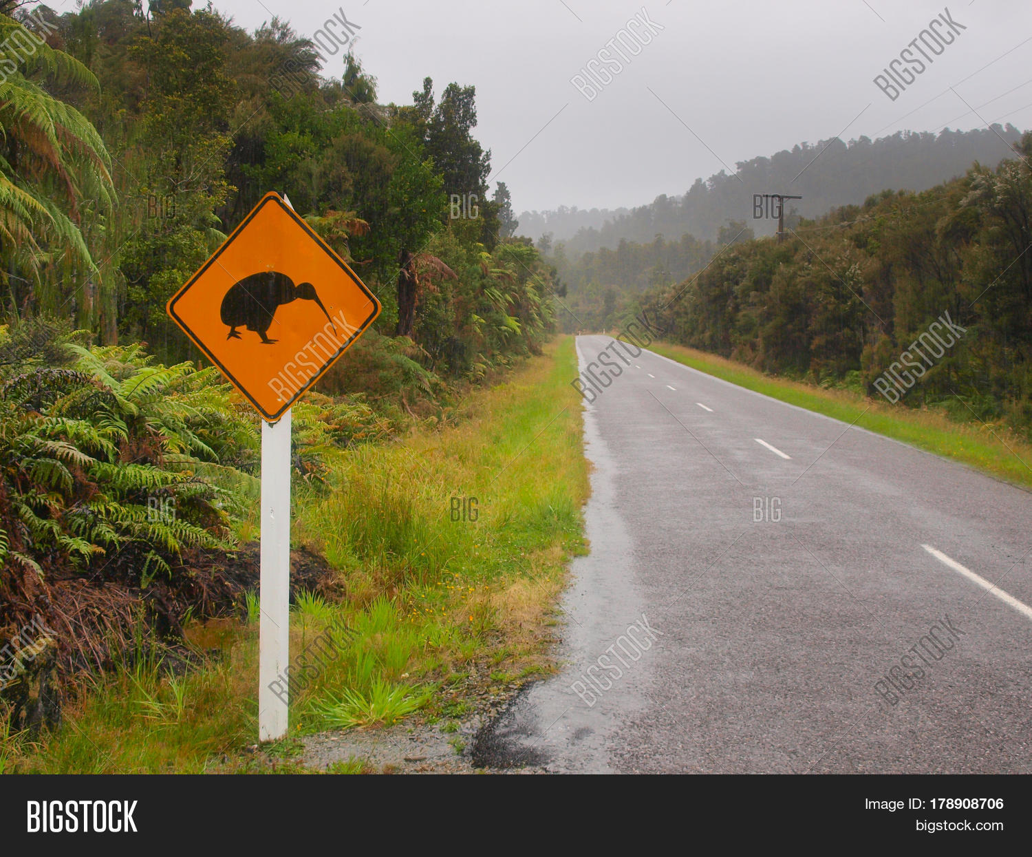 Kiwi Crossing Sign Image & Photo (Free Trial) | Bigstock