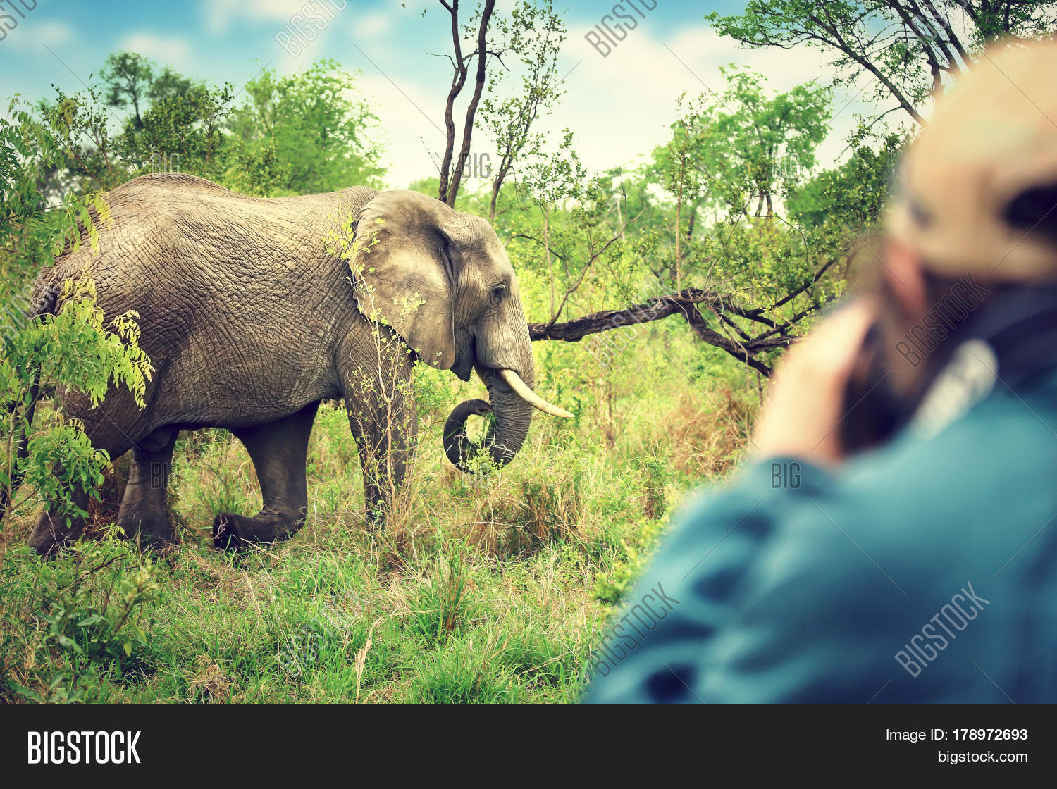 Photographer Taking Image & Photo (Free Trial) | Bigstock