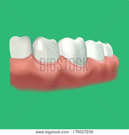 Human Chewing Surface Vector & Photo (Free Trial) | Bigstock