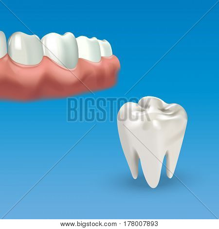 Human Chewing Surface Vector & Photo (Free Trial) | Bigstock