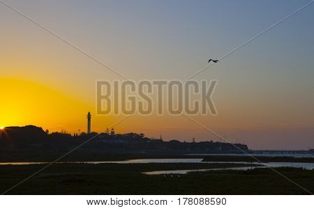 El Rompido Lighthouse Image & Photo (Free Trial) | Bigstock
