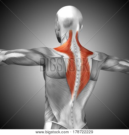 Concept Conceptual 3D Image & Photo (Free Trial) | Bigstock