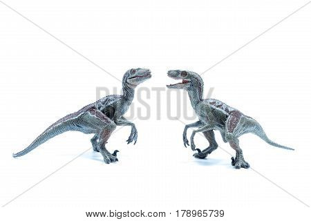 Two Great Velociraptor Image & Photo (Free Trial) | Bigstock