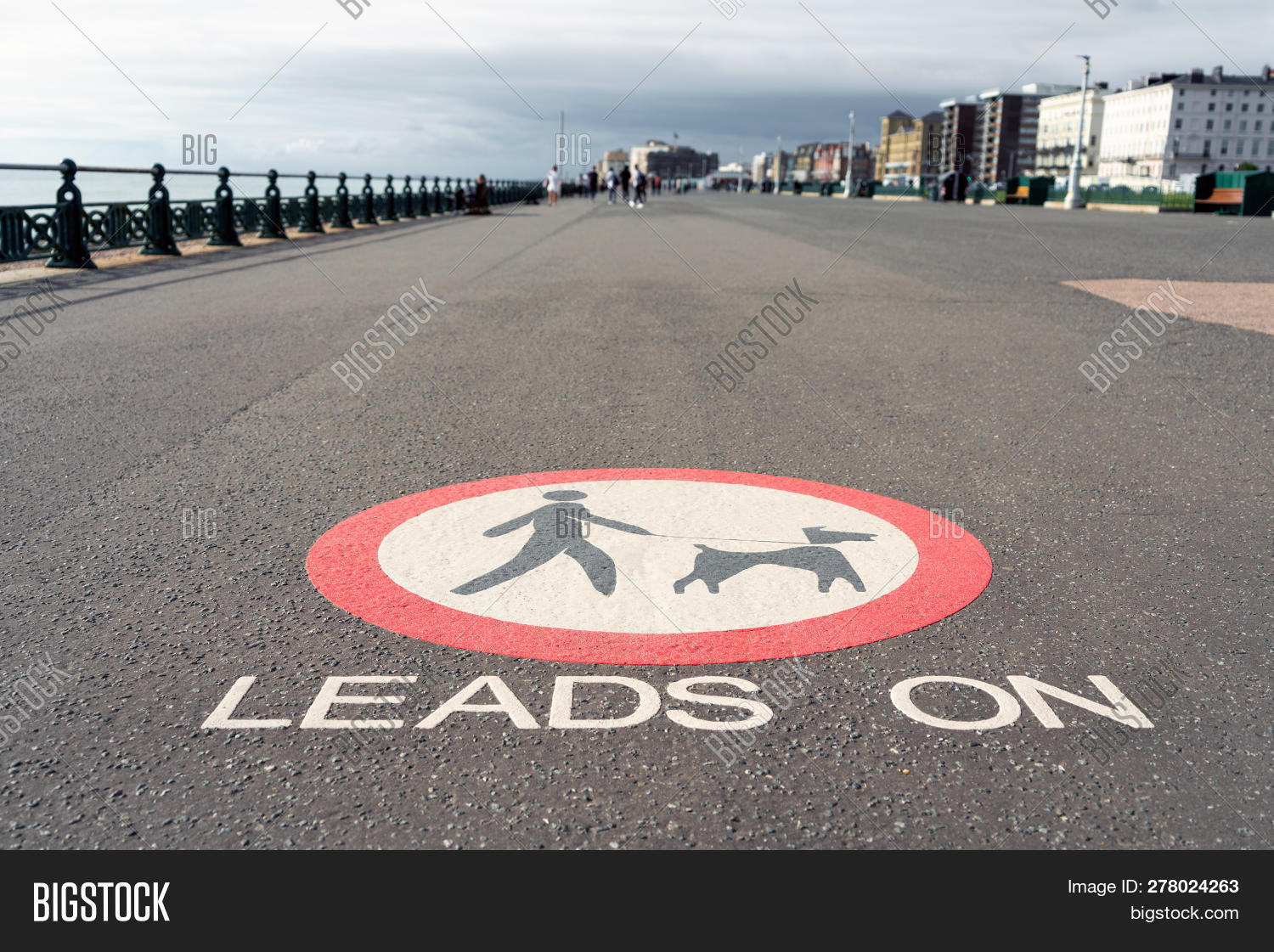 Dogs Allowed On Lead Image & Photo (Free Trial) | Bigstock