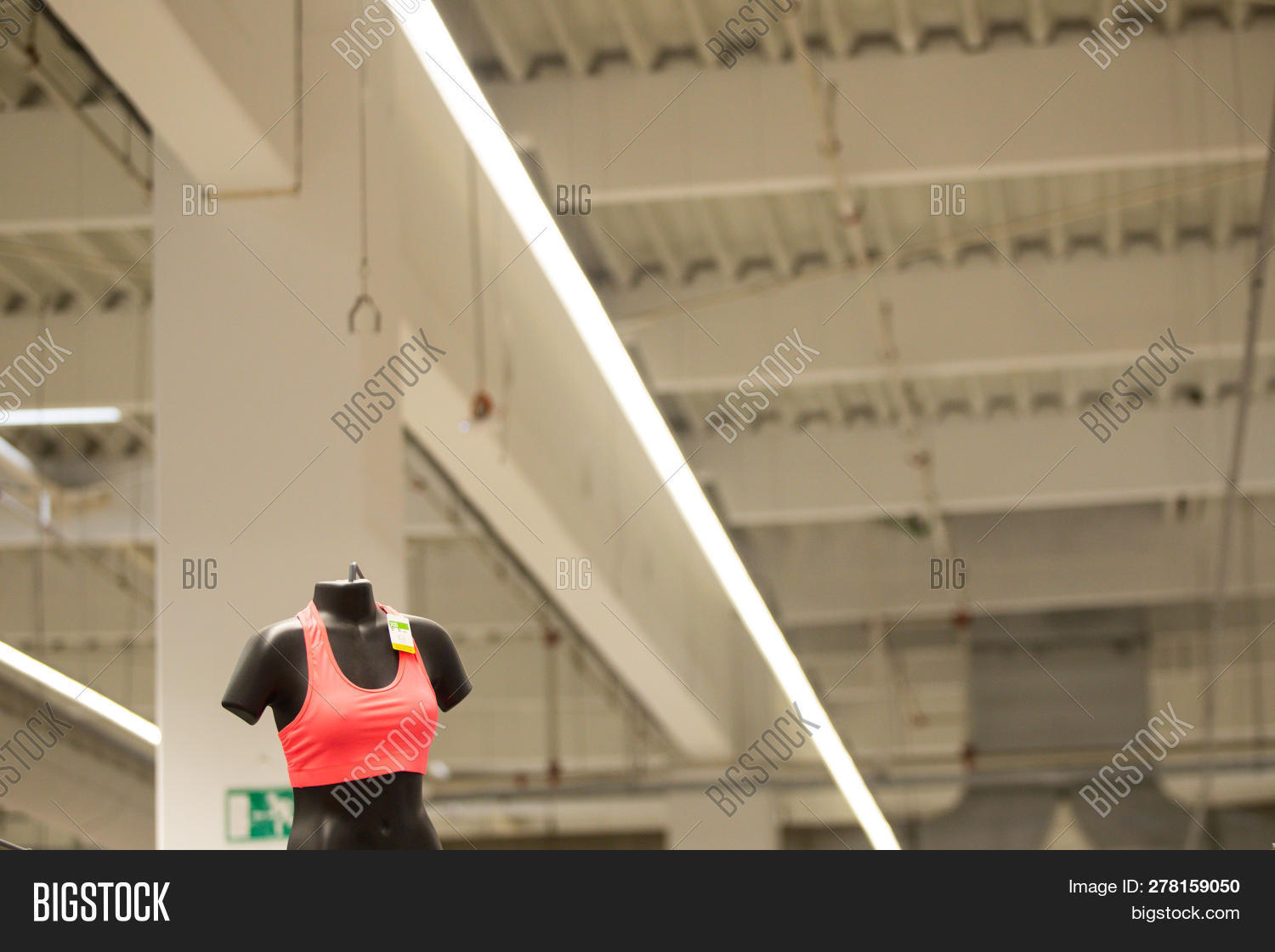 Armless Headless Top Image & Photo (Free Trial) | Bigstock