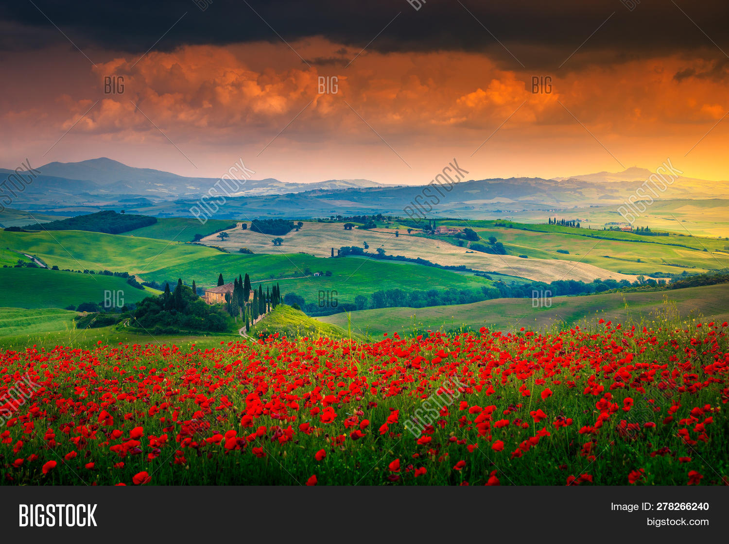 Magical Summer Tuscany Image & Photo (Free Trial) | Bigstock