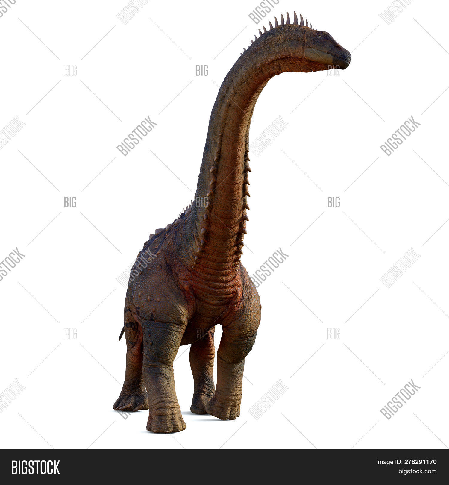 Alamosaurus Dinosaur Image & Photo (Free Trial) | Bigstock