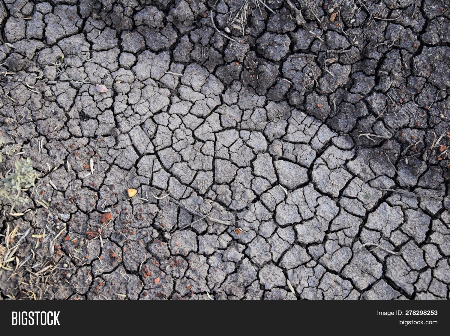 Dry Soil Abstract Image & Photo (Free Trial) | Bigstock