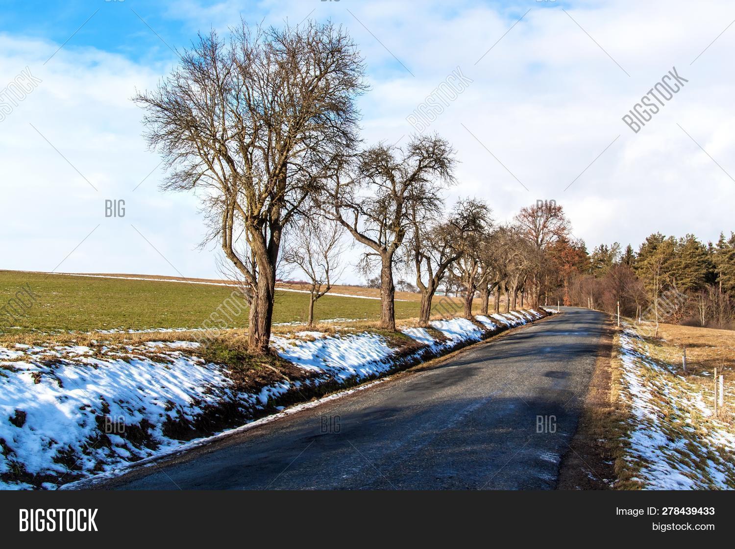 Spring Thaw Forest. Image & Photo (Free Trial) | Bigstock