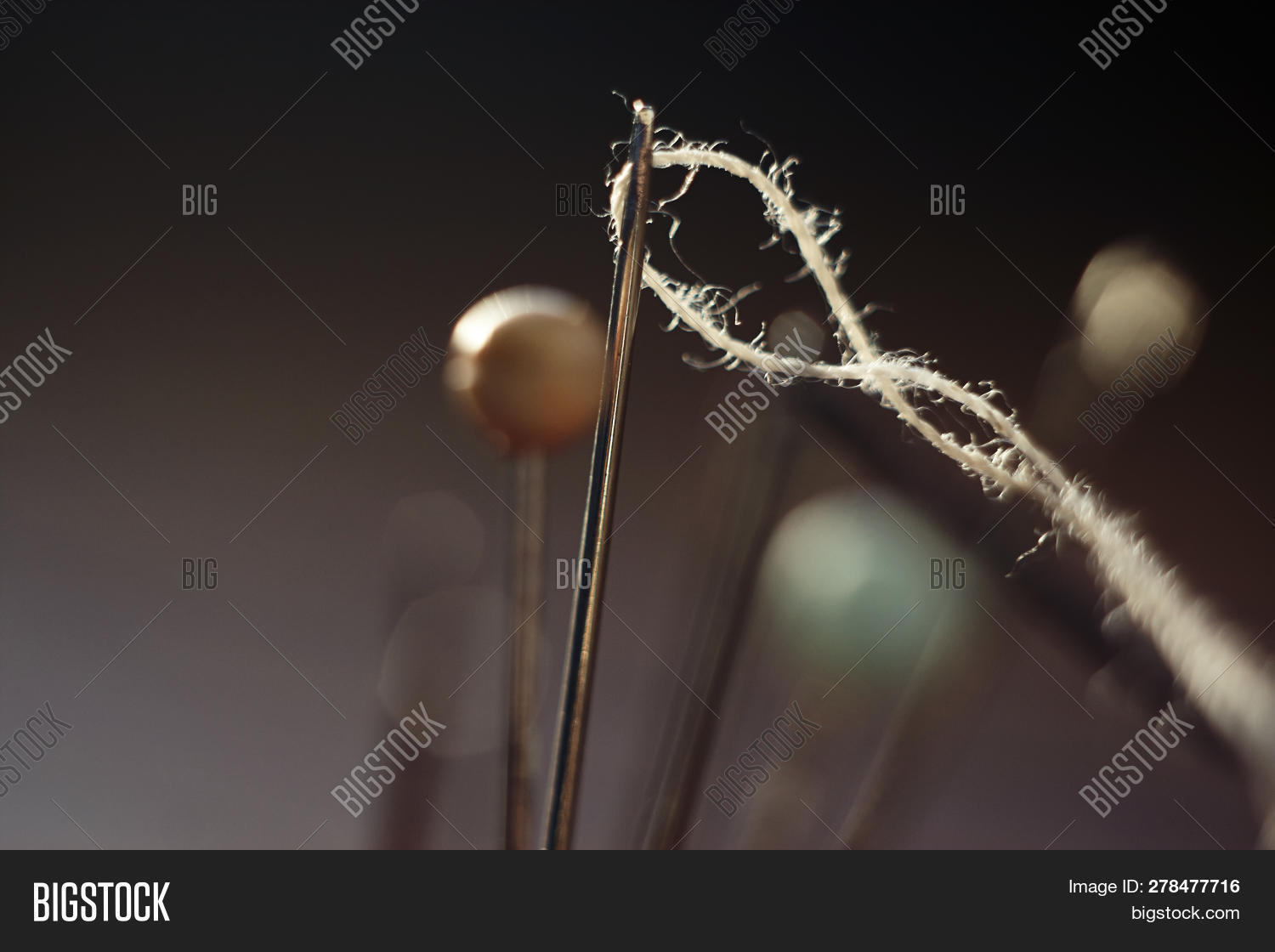 Needle White Fluffy Image & Photo (Free Trial) | Bigstock