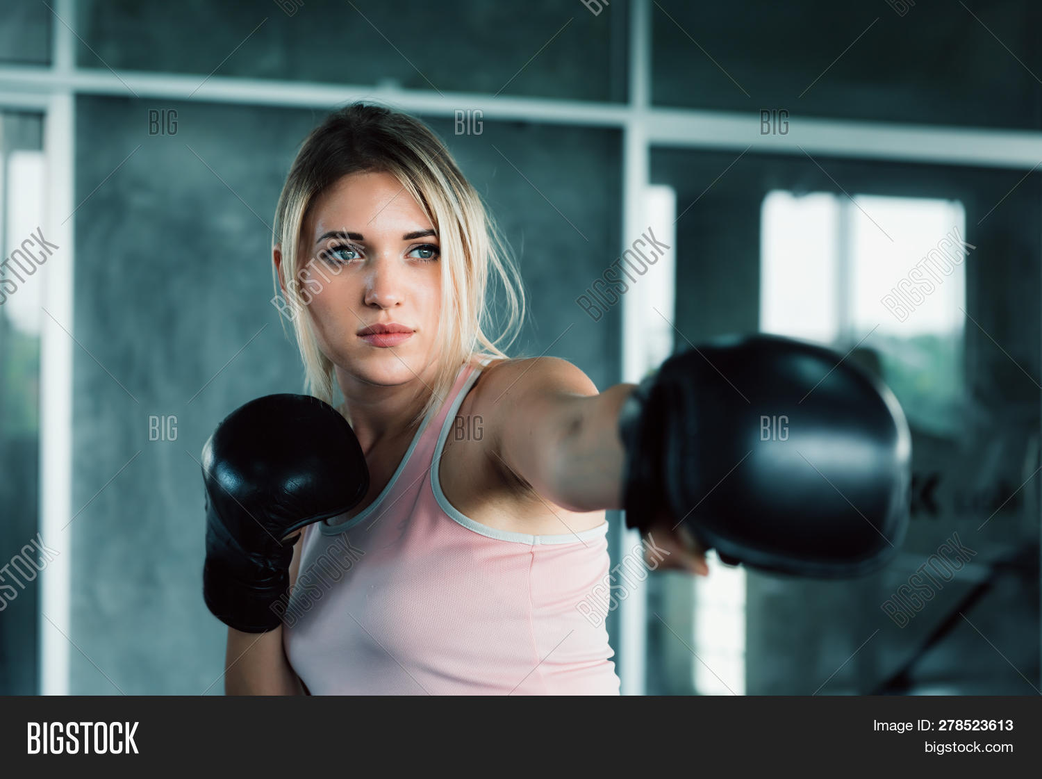 Female Boxer Training Image & Photo (Free Trial) | Bigstock
