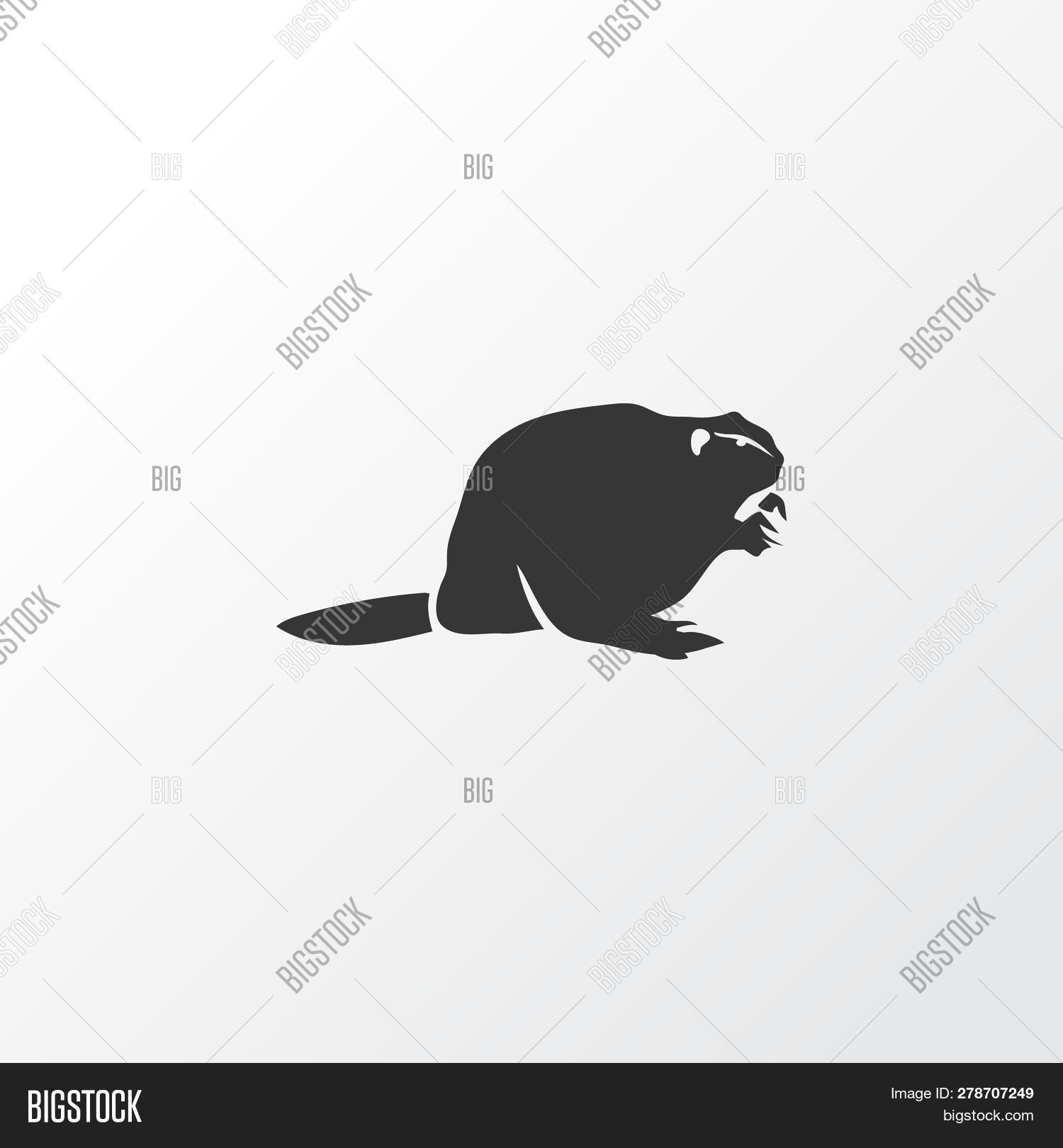 Beaver Icon Symbol. Image & Photo (Free Trial) | Bigstock