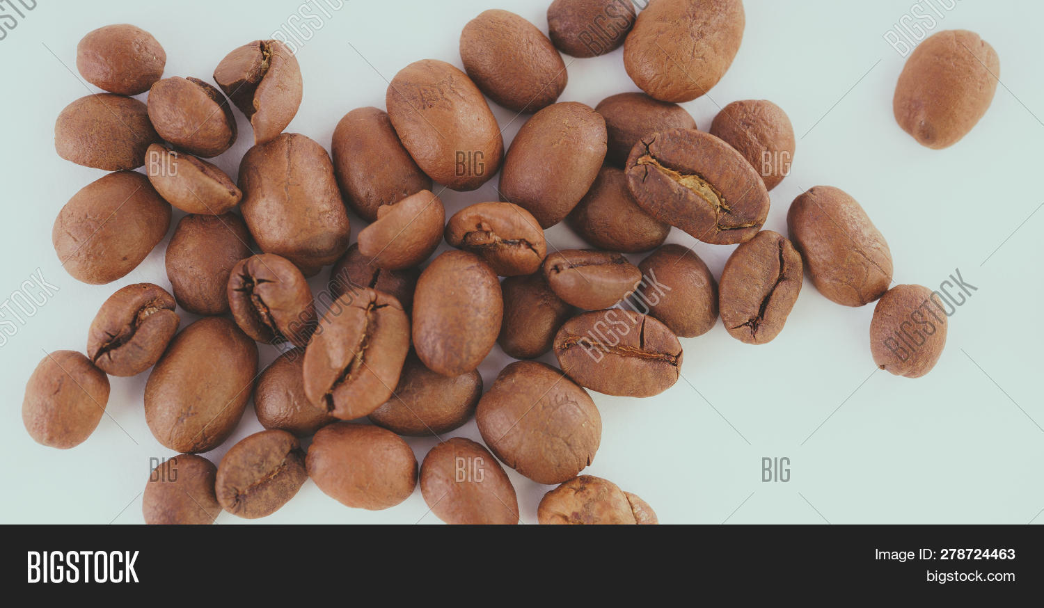 Coffee Bean Isolated Image & Photo (Free Trial) | Bigstock