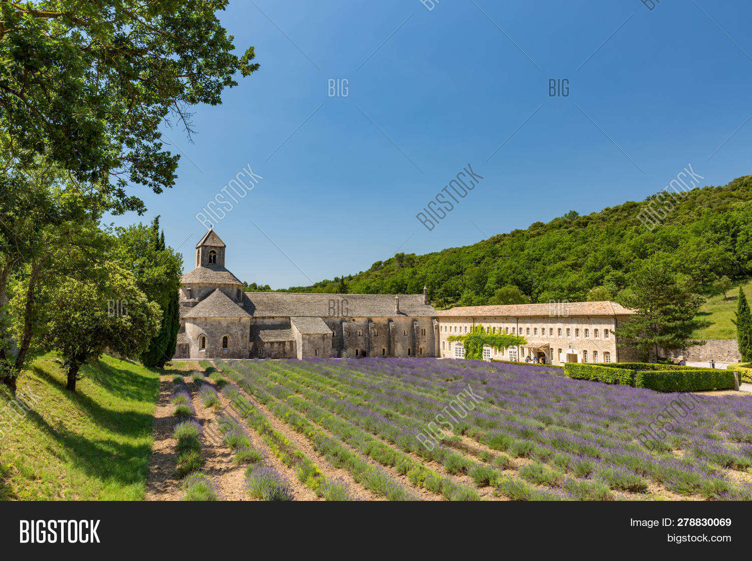 Abbey Senanque Image & Photo (Free Trial) | Bigstock