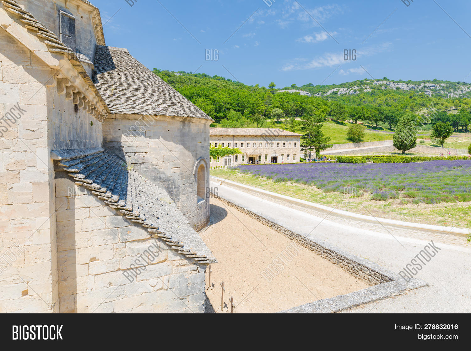 Abbey Senanque Image & Photo (Free Trial) | Bigstock