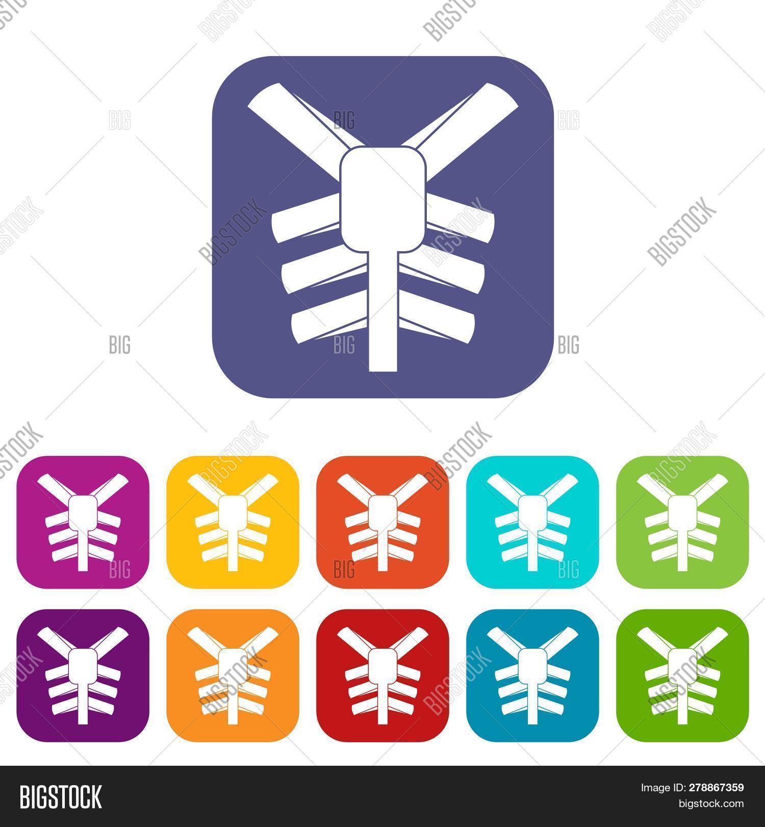 Human Thorax Icons Set Image & Photo (Free Trial) | Bigstock
