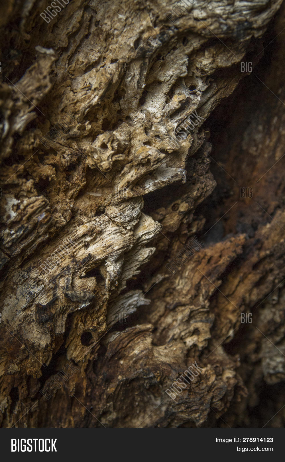 Damaged Timber Created Image & Photo (Free Trial) | Bigstock