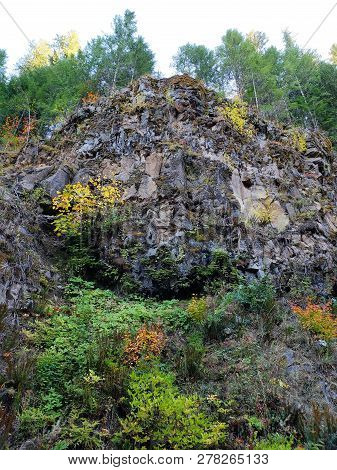 Rugged Cliffside Trees Image & Photo (Free Trial) | Bigstock